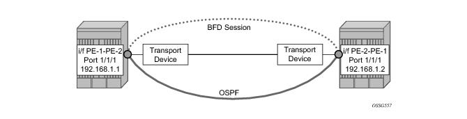 Bi-Directional Forwarding Detection